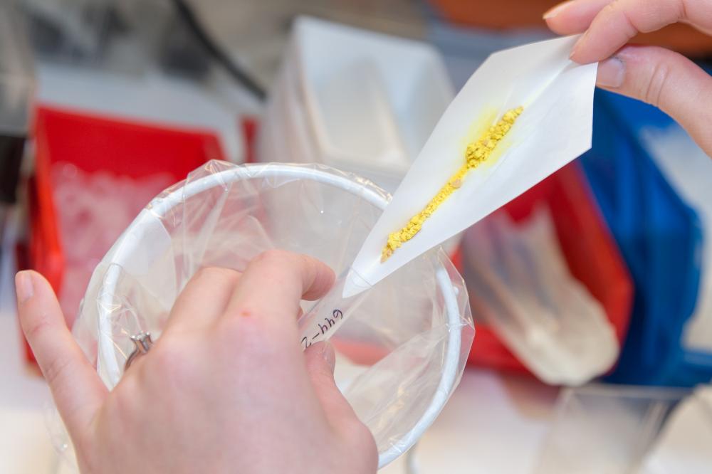 Drug allergy - RefLab ApS